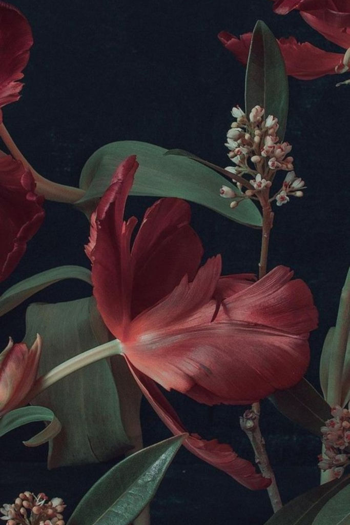 Awaken Your Divine Feminine Energy - Tosca Coaching 1